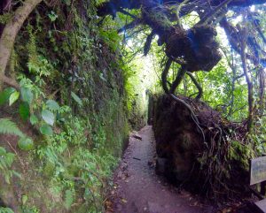 A Visit to Mombacho Volcano - Mel On The Go