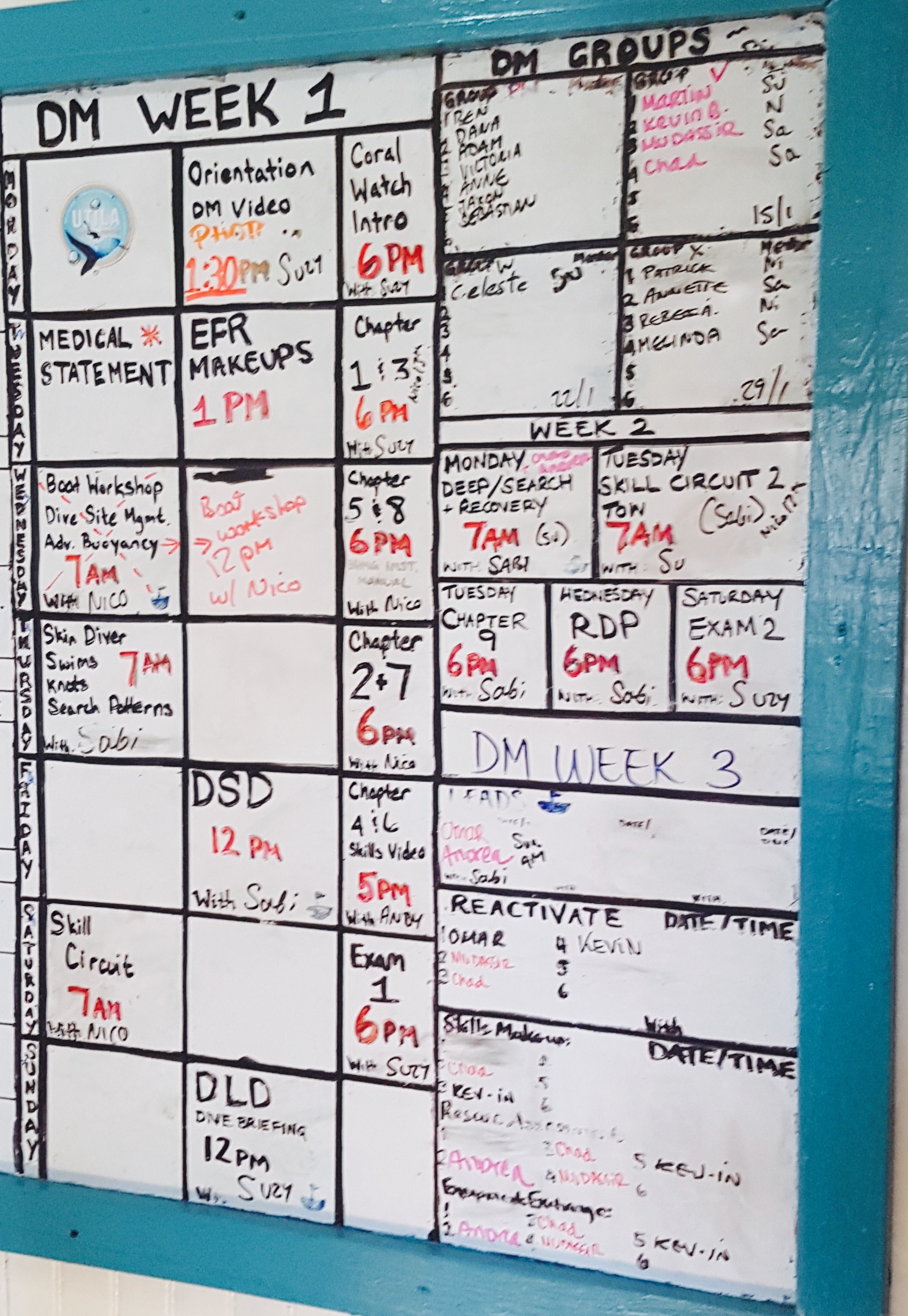 Training to Be A Divemaster - Mel On The Go