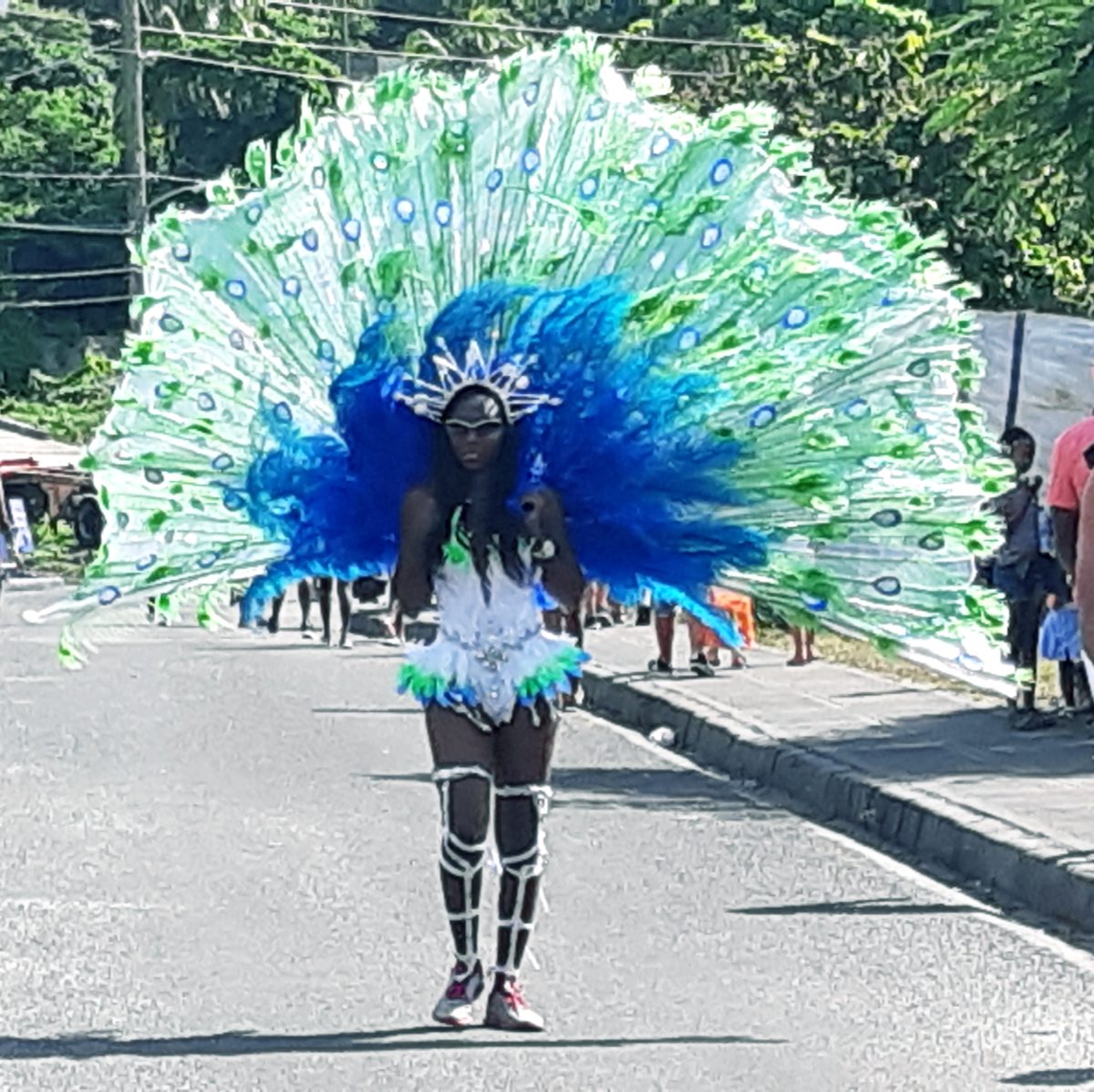 Carnival in Grenada - Mel On The Go