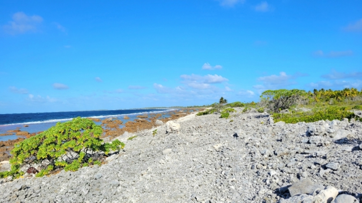 Cruising The Tuamotus - Mel On The Go